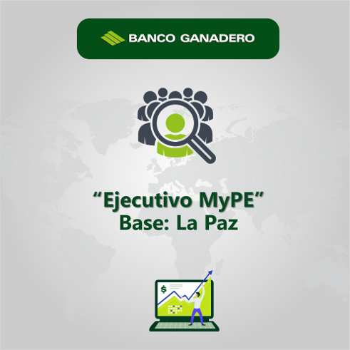 Oferta laboral: EJECUTIVO MYPE